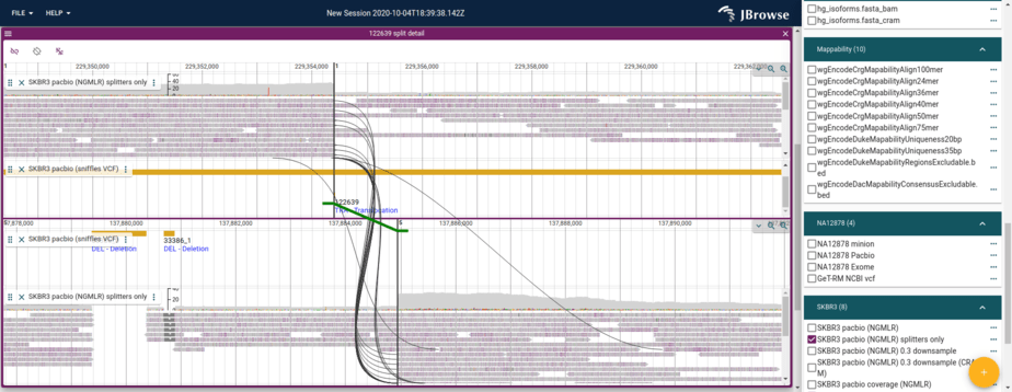 JBrowse 2 BOG2021 demos