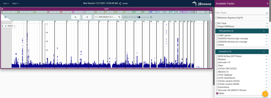 JBrowse 2 BOG2021 demos