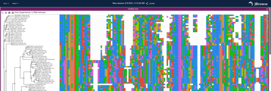 JBrowse 2 BOG2021 demos