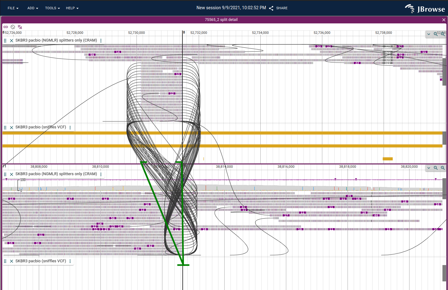 JBrowse 2 Cancer Demo
