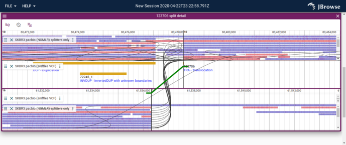 JBrowse 2 ITCR2020 demos