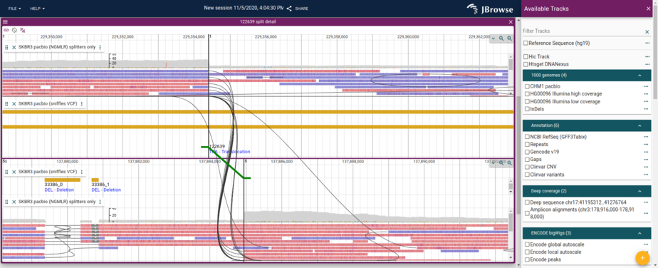 JBrowse 2 demos