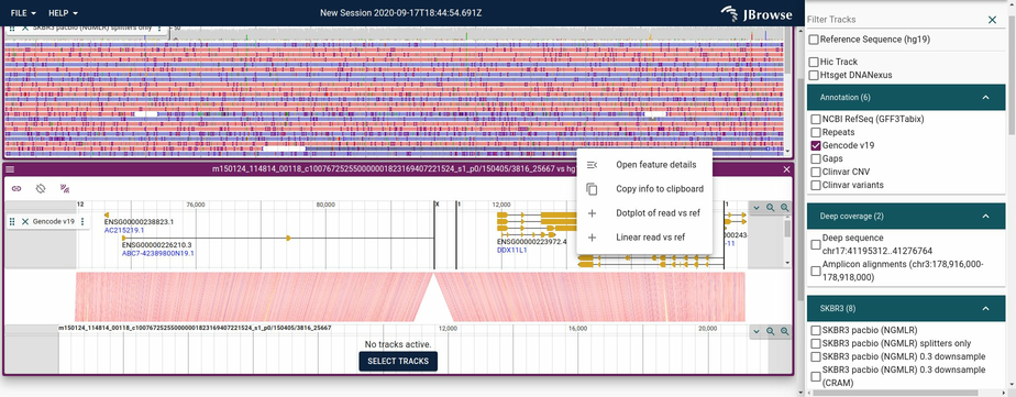 JBrowse 2 demos