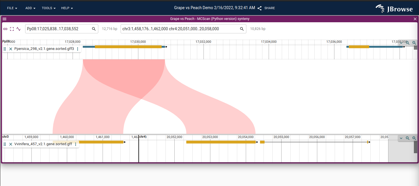 JBrowse 2 BOG2020 demos