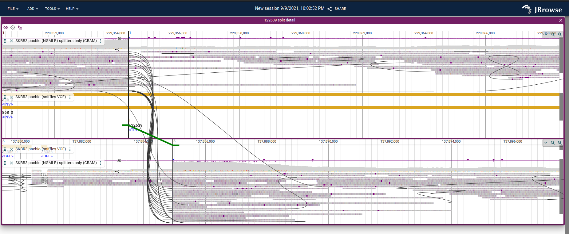 JBrowse 2 BOG2020 demos